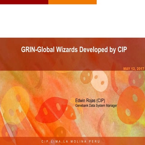 GG Wizard Developed by CIP | PPT