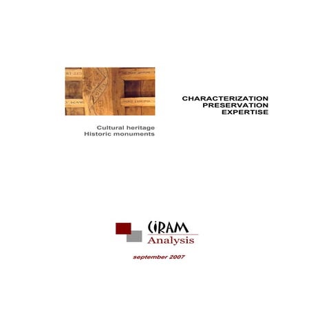 CIRAM Scientific Analysis For Cultural Heritage May 20009 | PDF