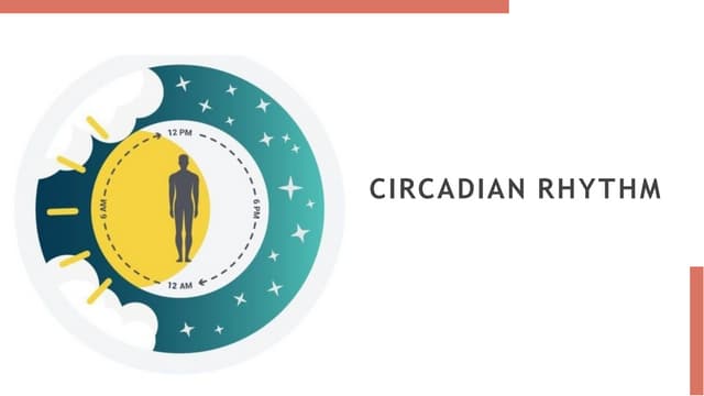 circadian rhythm.........,ppt... health care | PPT circadian rhythm.........,ppt... health care | PPT