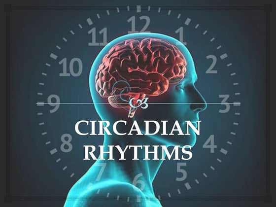 Circadian rhythm | DOCX