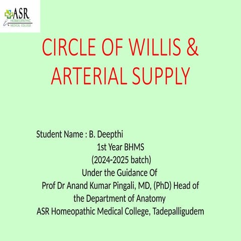 Circle of willis | PDF