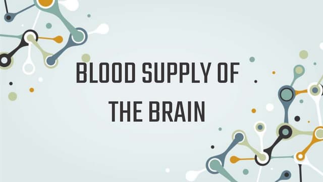 Circle of willis | PDF