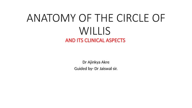 Circle of willis | PDF