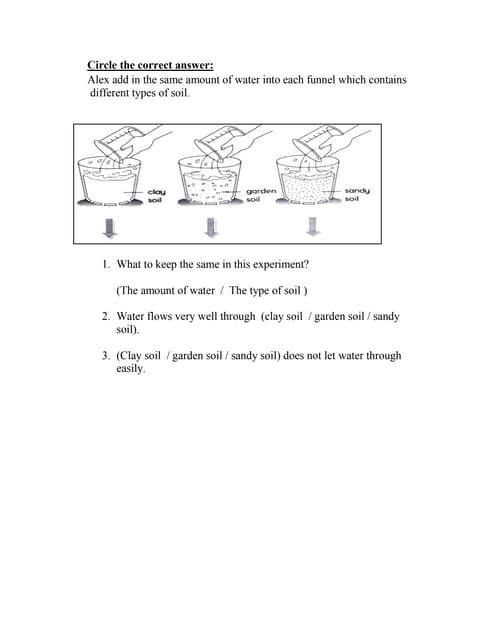 Circle the correct answer | PDF
