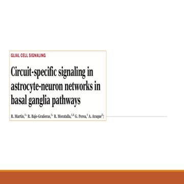 Circuit specific signaling in astrocyte-neuron networks in basal ...