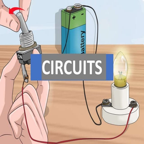 Circuits.ppt | Computer Networking | Computing