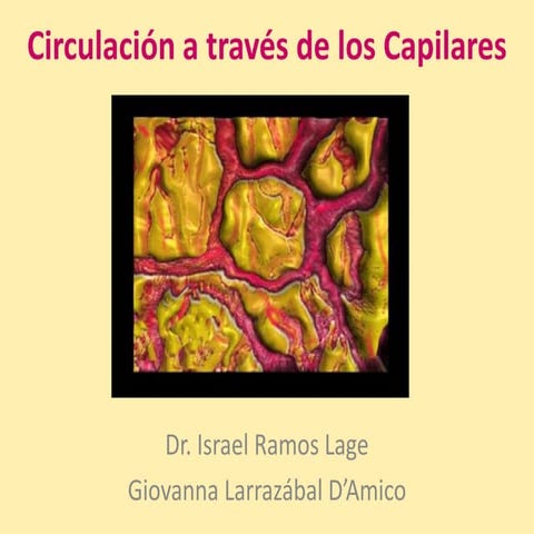 Histologia de la vena | PPTX