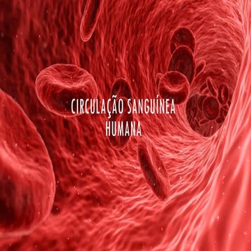 Circulação sanguínea humana/cardiovascular.pptx