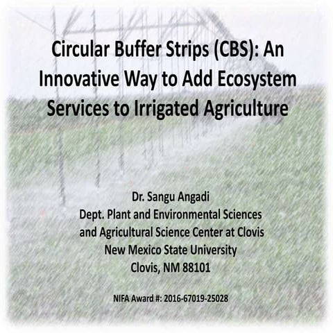 Circular Buffer Strips Ppt 