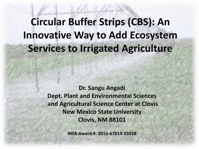 Circular Buffer Strips Ppt