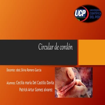 &Circular de cordón ppt.pptx