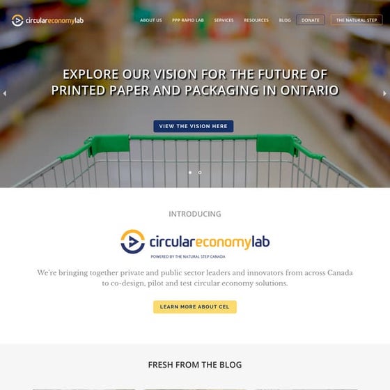 Bio - Prof. Anthony Rippon | PDF | World/International Music | Music