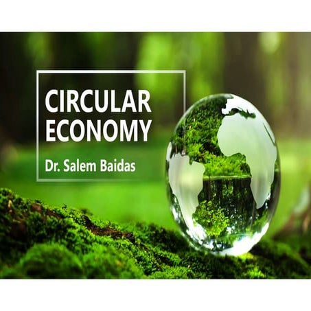 Circular Economy | PDF