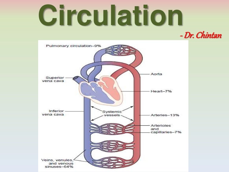 Circulation
