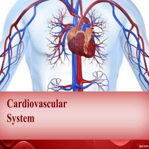 circulation.pdf for students to study an educate themselves | PPT