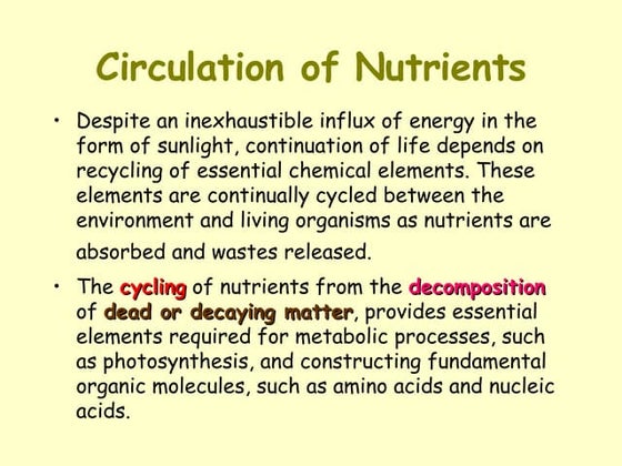 Process of humus formation | PPT
