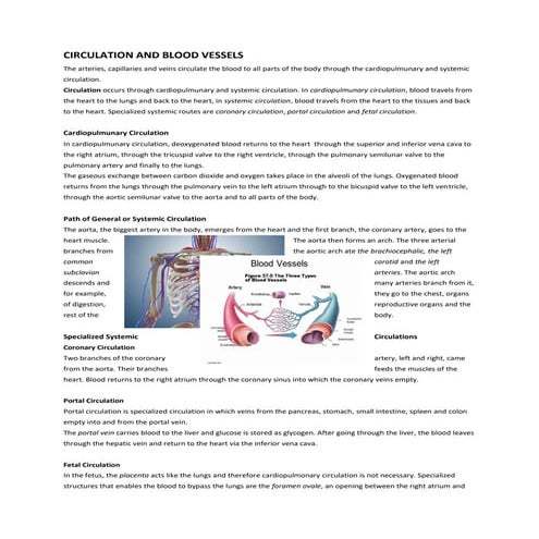 Anatomy and physiology of circulatory system | PPT
