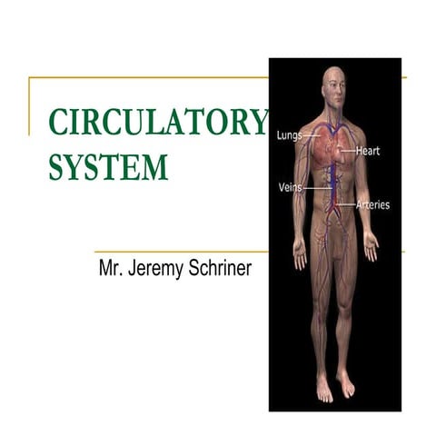 Cardiovascular System | PPT