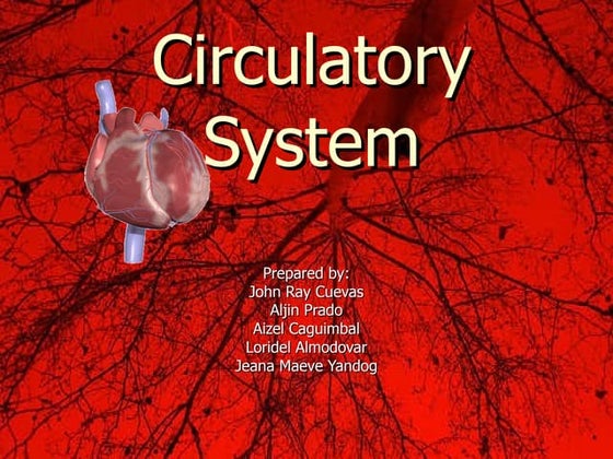 Circulatory System Ppt | PPT