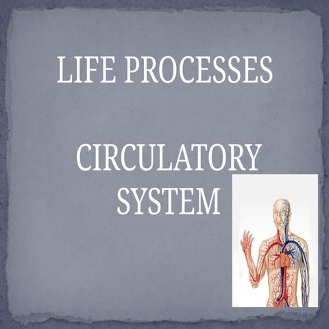 circulatory-system----presentation------ | PPTX
