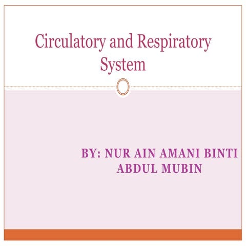 Circulatory and respiratory system | PPT