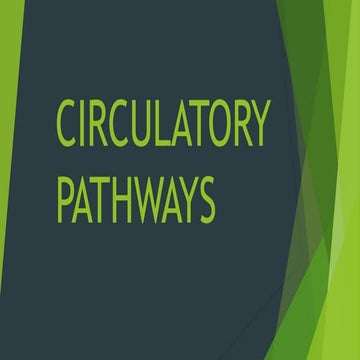 CIRCULATORY PATHWAYS.pptx