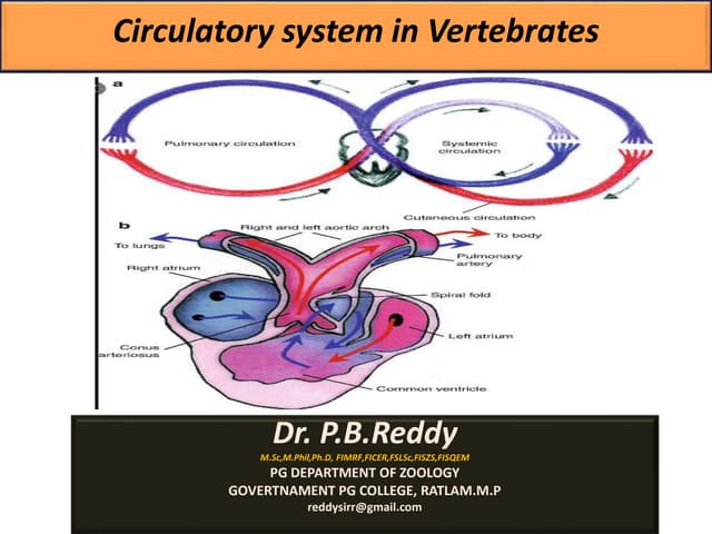 Endocrine System (Hormones in Animals/WBBSE)) | PPTX