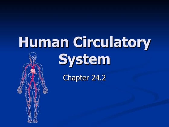 Circulatory System Ppt An Overview Of The Cardiovascular And Blood