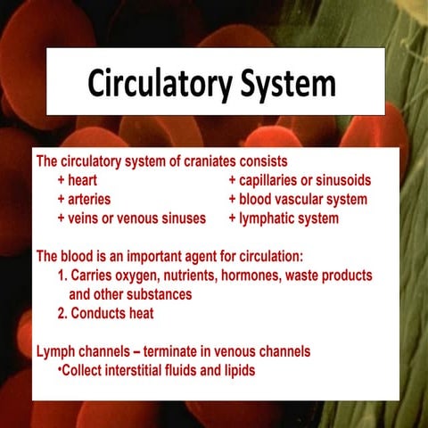 Circulatory system | PPT