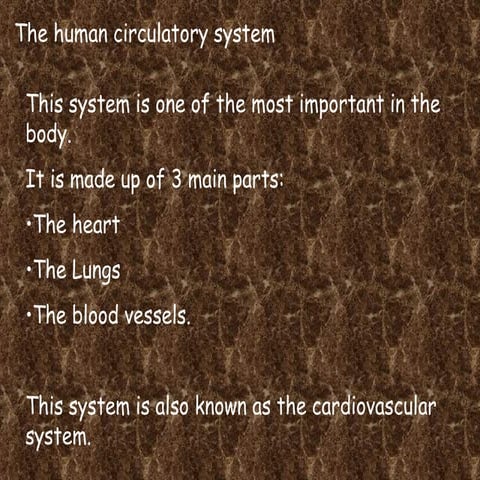 Circulatory system | PPT