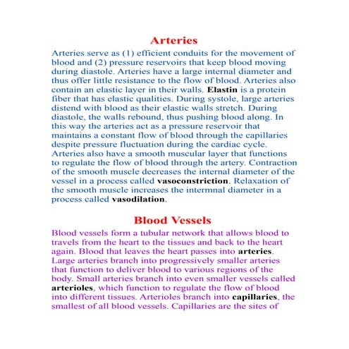 Comprehensive Overview of Blood Vessels and Circulatory System Anatomy ...