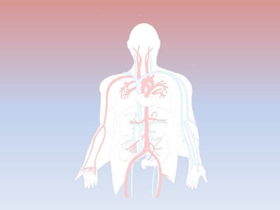 Parts of a Human Circulatory System | PPT
