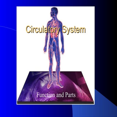 Circulatory system and its types biology-o level | PPTX