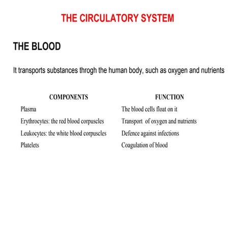 Circulatory system | PPT