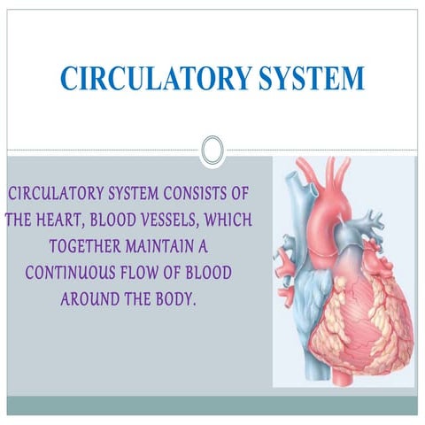 Circulatory System Ppt