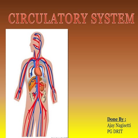 Circulatory System Ppt