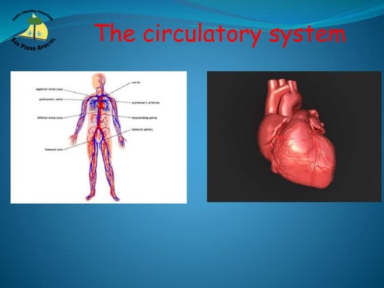 Parts of a Human Circulatory System | PPT