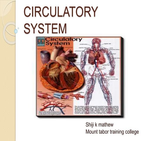 Circulatory system | PPT