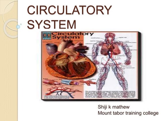 Circulatory system p3 | PPT