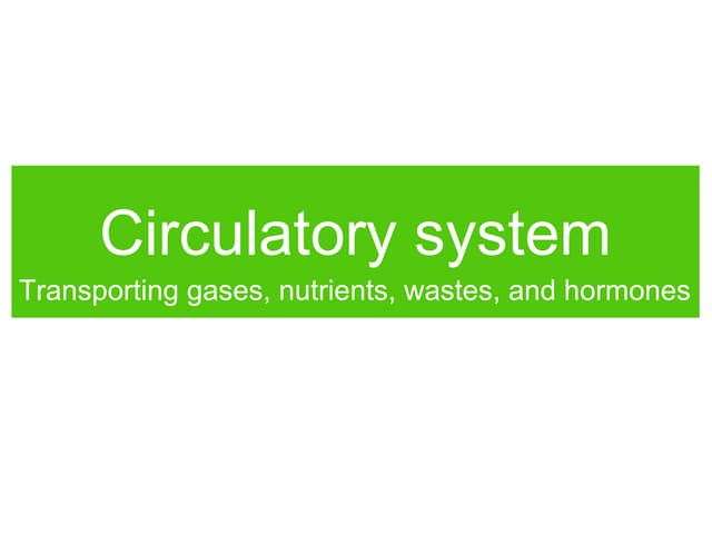 Avian circulatory system | PPTX
