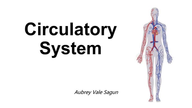 Types of circulation | PPTX