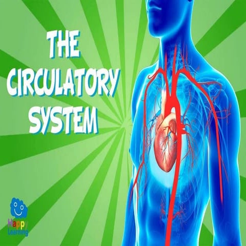 Circulatory system | PPT