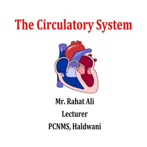 Anatomy of Circulatory system | PPT