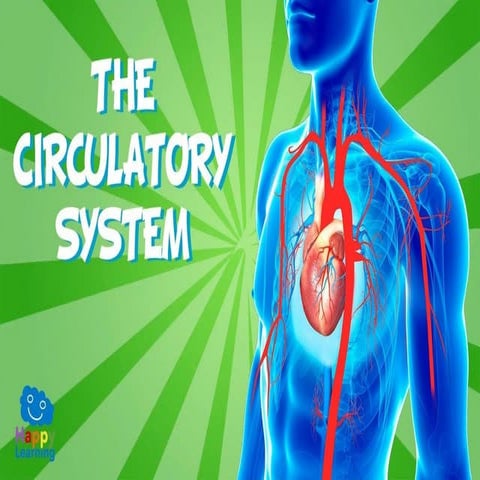 Circulatory system Quiz | PPS