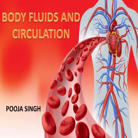 Circulatory system | PPT