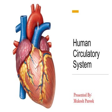 Introduction to the circulatory system | PPTX