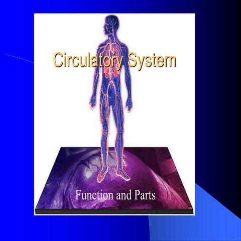 Circulatory System Slideshow - Biology - Cardiovascular System | PPT