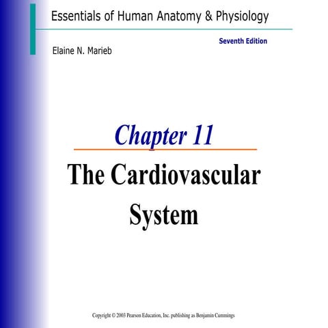 CIRCULATORY SYSTEM.pptx (2).pdf