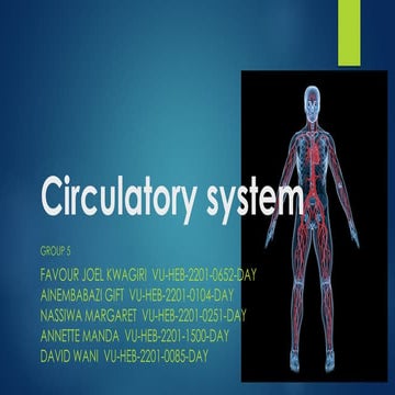 Circulatory system in animals with detailed explanation | PPTX