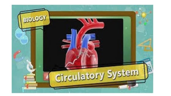 CIRCULATORY SYSTEM_CLASS 10th.pptx